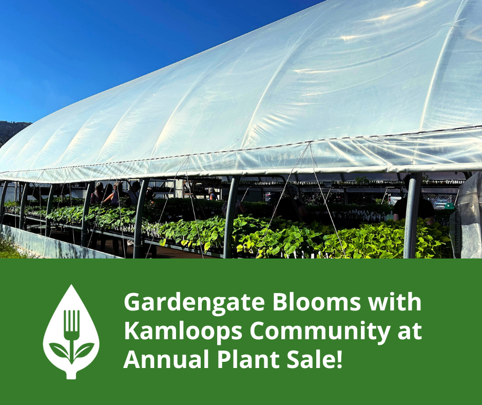 Open Doors to Opportunity! - Open Door Group